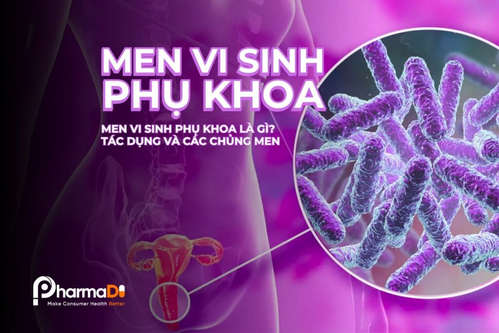 Men vi sinh phụ khoa là gì? Tác dụng và các chủng men vi sinh